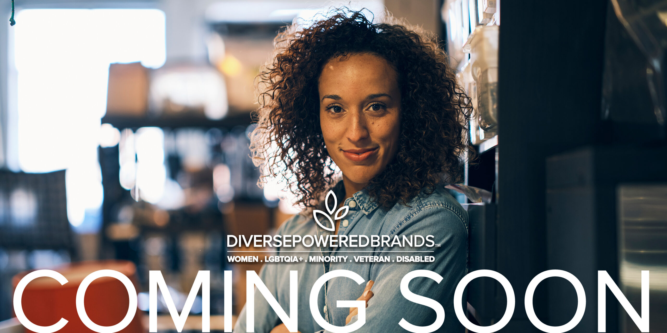 Diverse Powered Brands